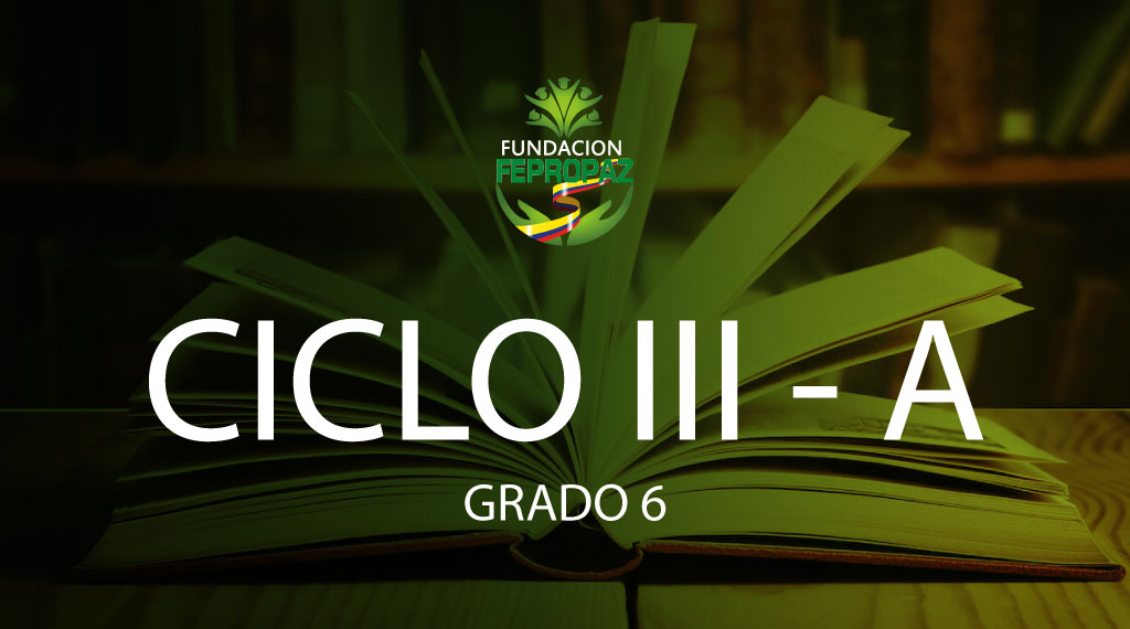 CICLO III – A – Cursos Fepropaz